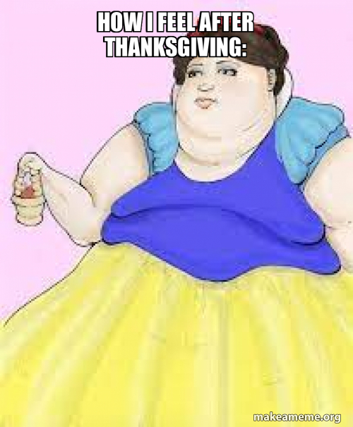 how i feel after thanksgiving: Meme Generator