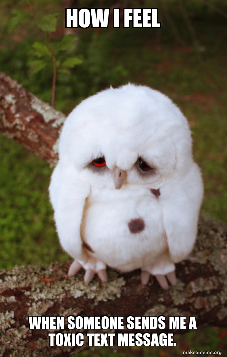 How I feel when someone sends me a toxic text message. - Sad Owl Meme ...