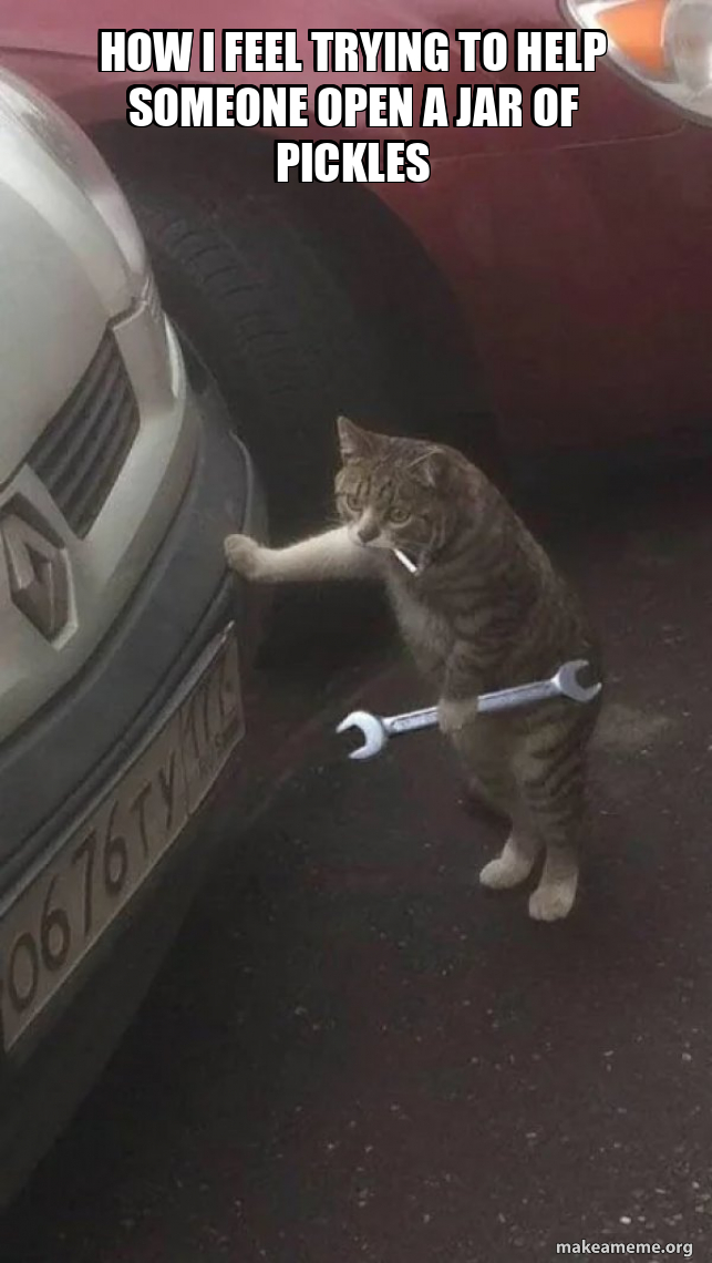how I feel trying to help someone open a jar of pickles - Mechanic Cat ...