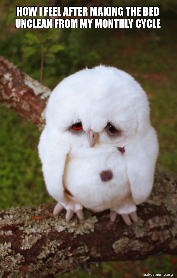 How I feel after making the bed unclean from my monthly cycle - Sad Owl ...