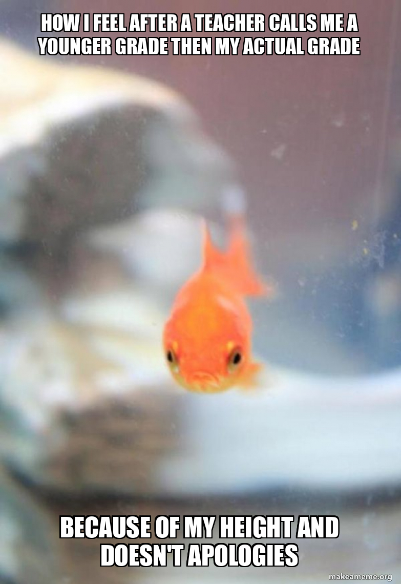 how i feel after a teacher calls me a younger grade then my actual ...