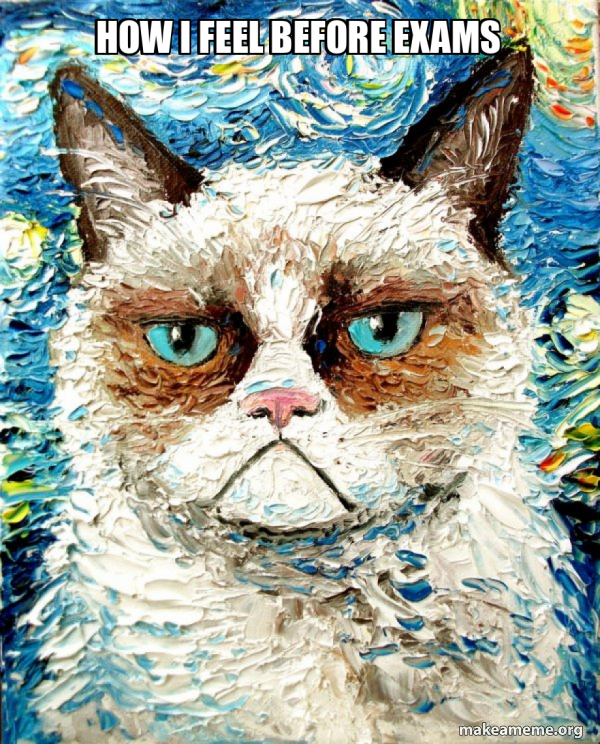 How I feel before exams - Vincent Van No - Grumpy Cat Meme Generator