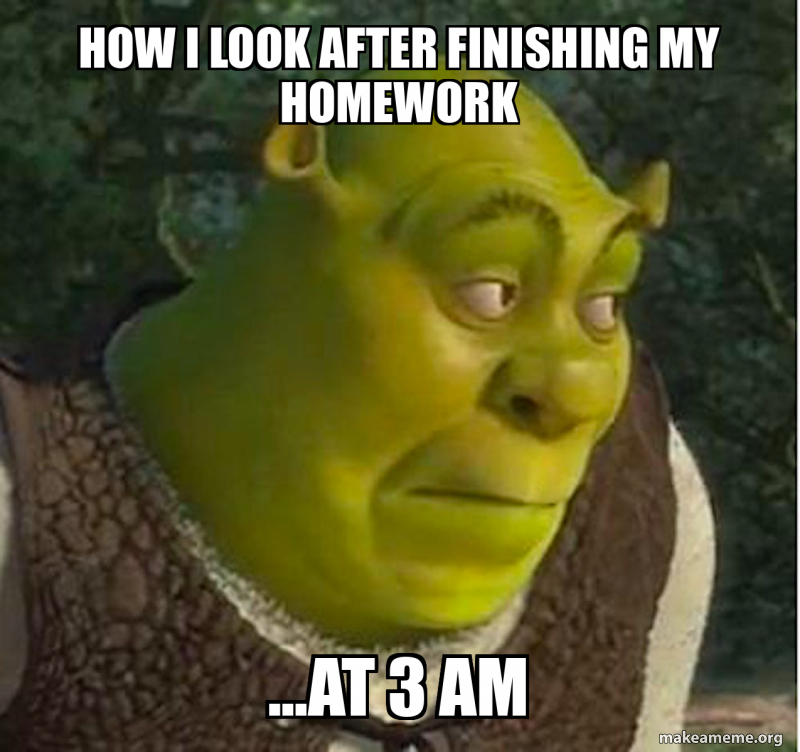 How I look after finishing my homework ...at 3 am Meme Generator