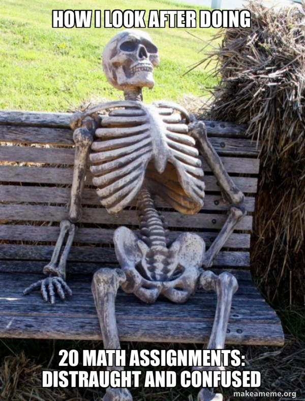 HOW I LOOK AFTER DOING 20 MATH ASSIGNMENTS: DISTRAUGHT AND CONFUSED ...