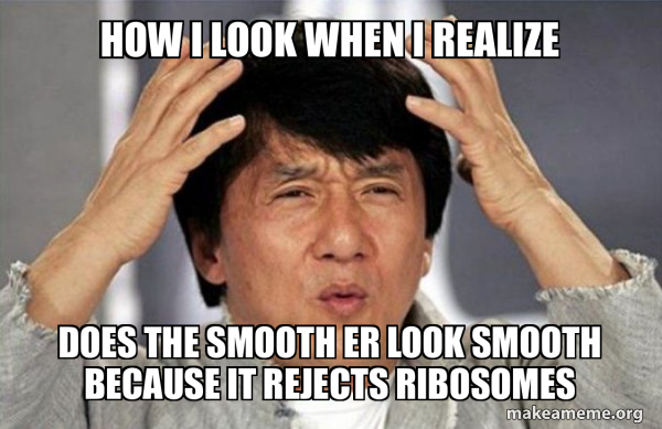 how I look when I realize does the smooth ER look smooth because it ...