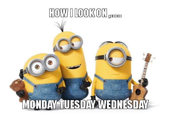 Minion Wednesday Universal Sets New Dates For 'Shrek 5' & 'Minions 3,'