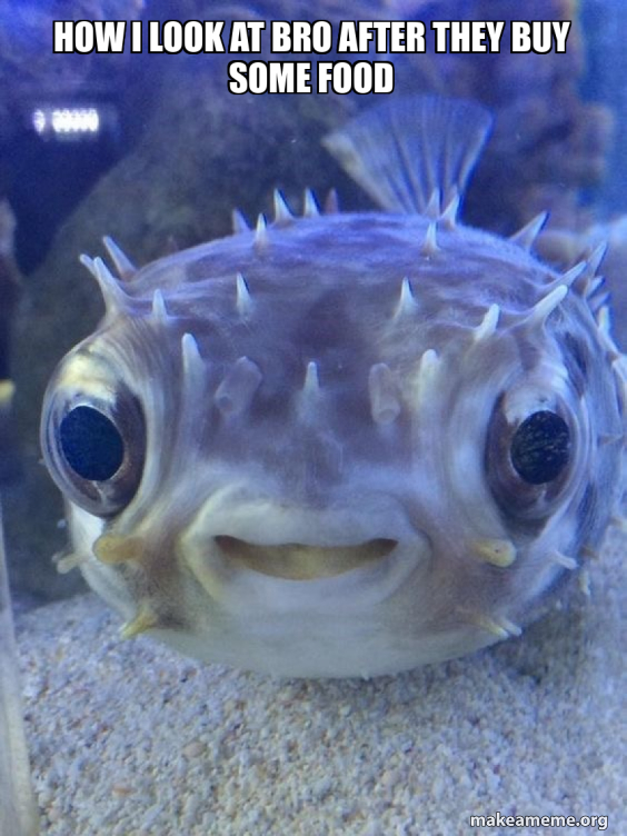 How i look at bro after they buy some food Meme Generator