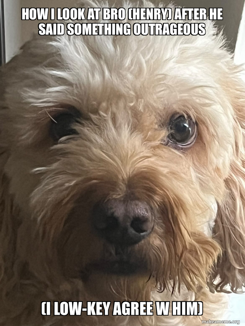 How i look at bro (henry) after he said something OUTRAGEOUS (I low-key ...