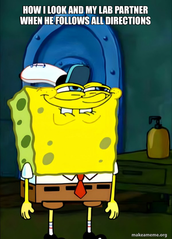 How I look and my lab partner when he follows all directions ...
