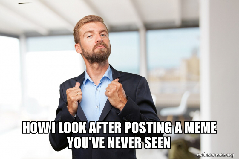 HOW I LOOK after posting a meme you've never seen Meme Generator