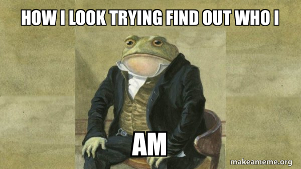 how i look trying find out who i am - Colonel Toad Meme Generator