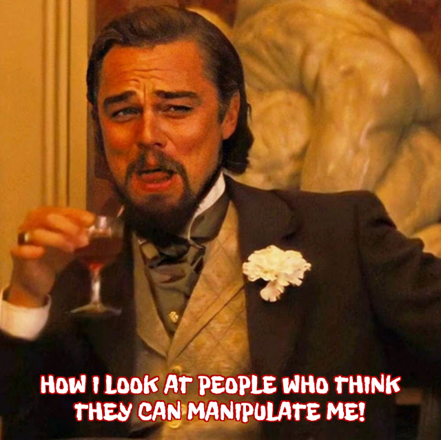 how i look at people who think they can manipulate me! Meme Generator