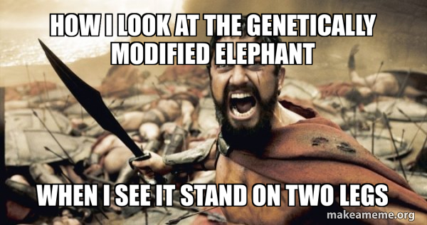 How I look at the genetically modified elephant When I see it stand on ...