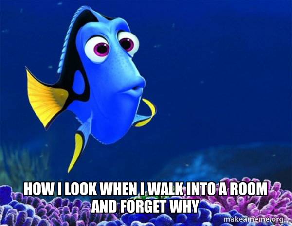 How I look when I walk into a room and forget why - Dory from Nemo (5 ...