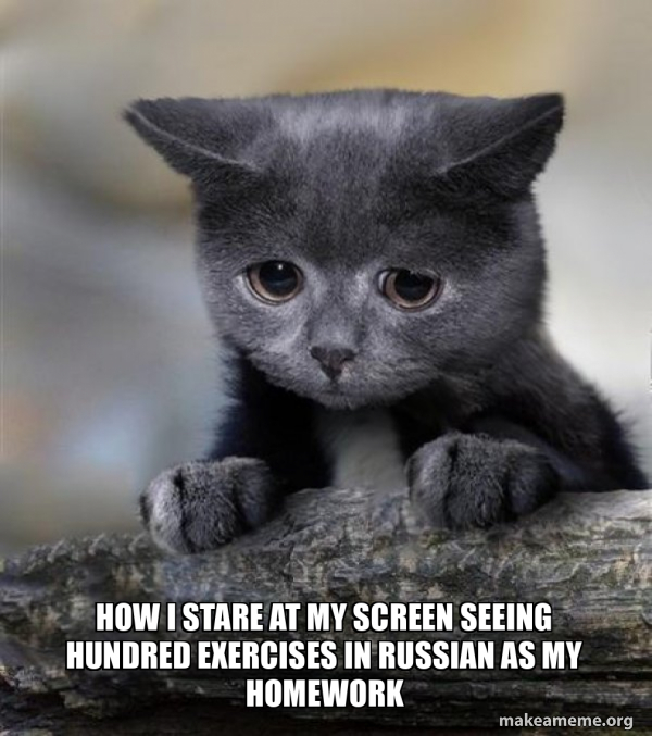 how I stare at my screen seeing hundred exercises in russian as my ...