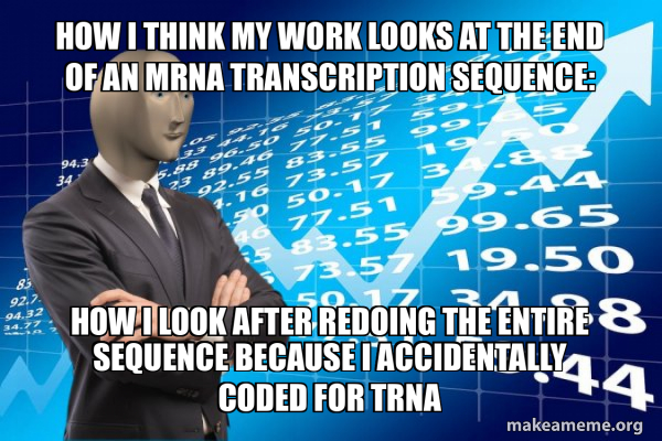 How I think my work looks at the end of an mRNA transcription sequence ...