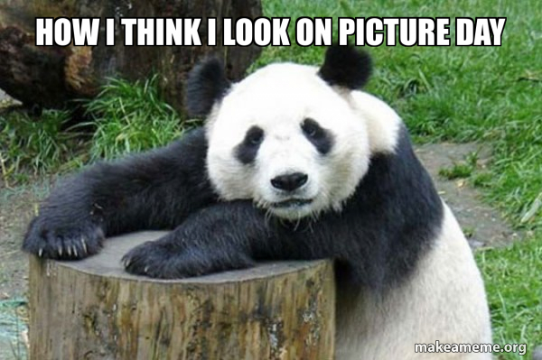 how i think i look on picture day - Confession Panda Meme Generator