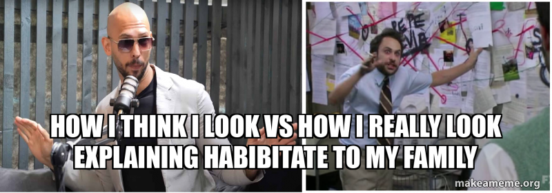 How i think i look vs how i really look explaining HabibiTate to my ...