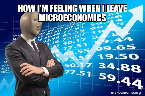 How Iâ€™m feeling when I leave Microeconomics - Stonks Only Go Up Meme ...