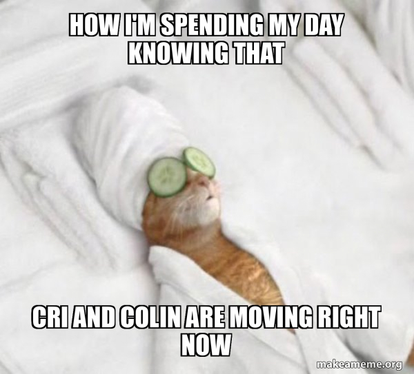 how i'm spending my day knowing that Cri and colin are Moving right now ...