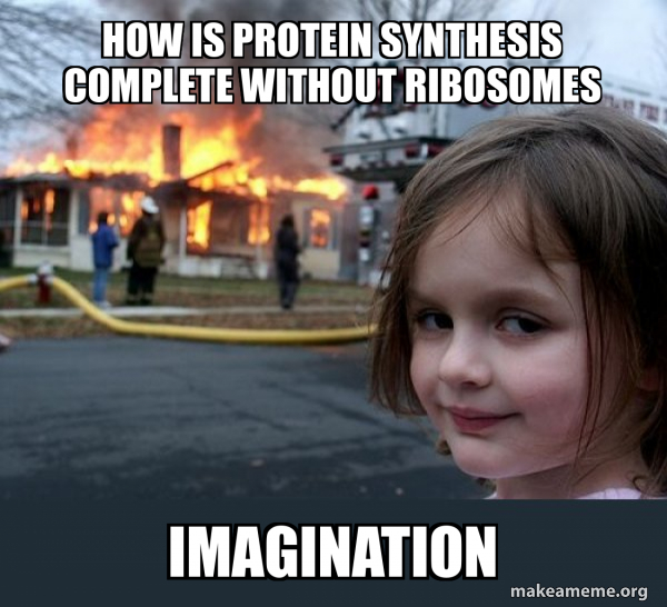 how is protein synthesis complete without ribosomes imagination ...