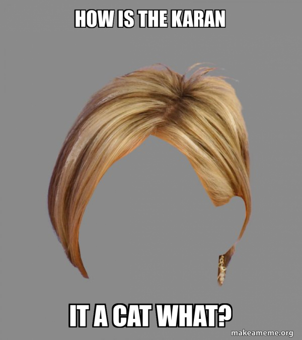 HOW IS THE KARAN IT a cat what? - The Karen Hair Meme Generator