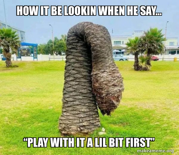 How it be lookin when he say... “play with it a lil bit first” Meme ...