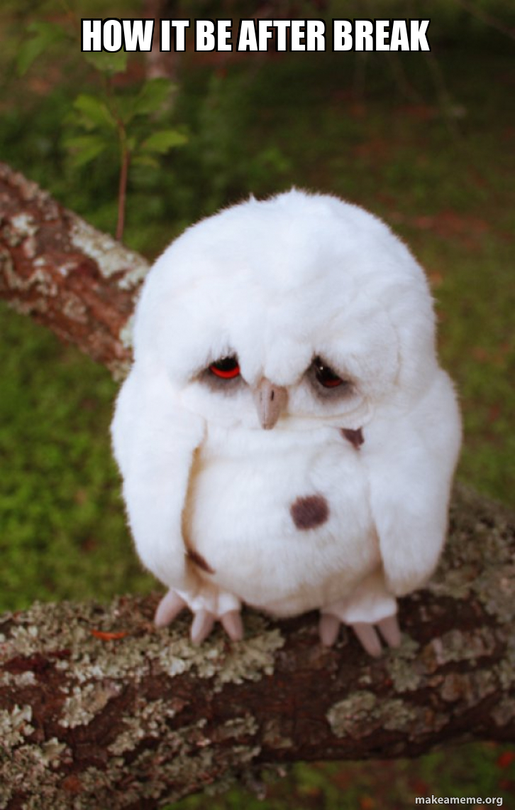 How it be after break - Sad Owl Meme Generator
