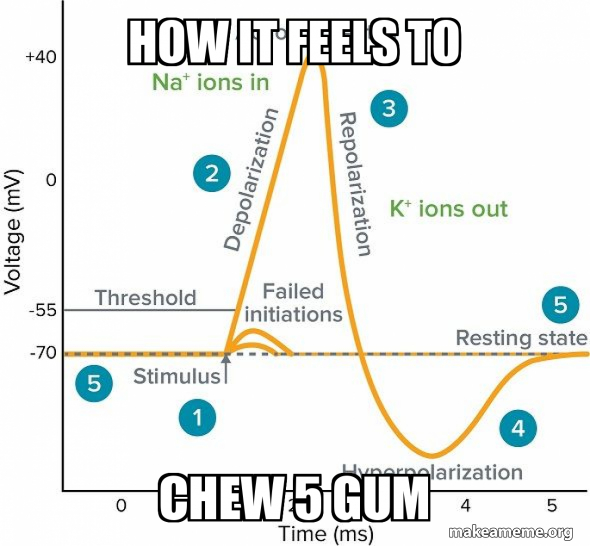 how it feels to chew 5 gum Meme Generator