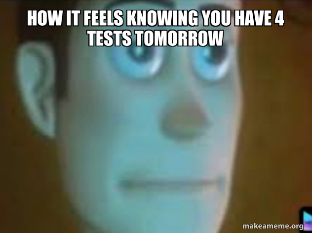 How it feels knowing you have 4 tests tomorrow Meme Generator