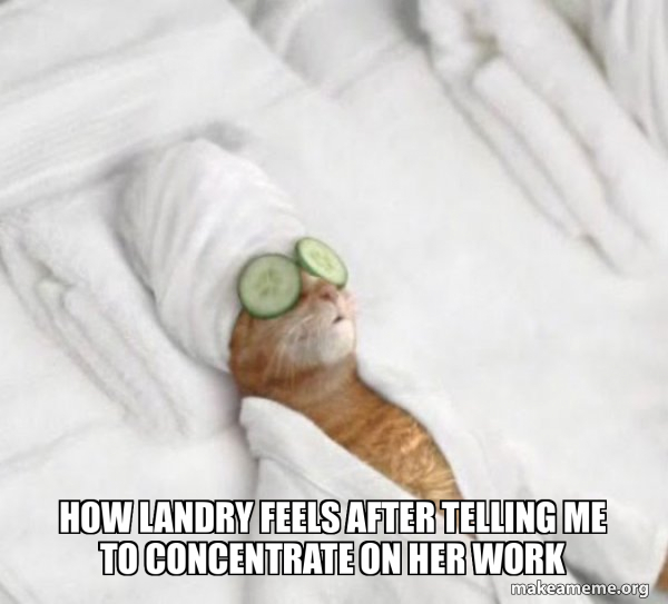 How Landry feels after telling ME to concentrate on HER WORK - Pampered ...