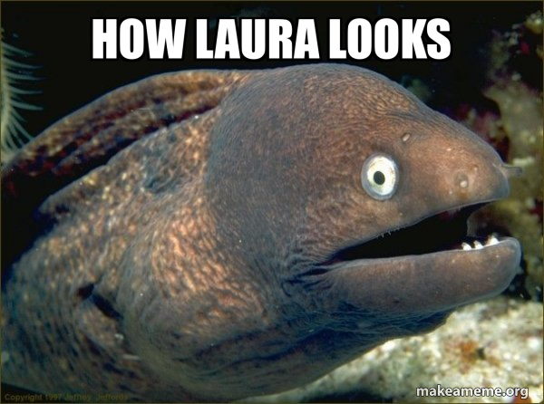 How Laura looks - Bad Joke Eel Meme Generator