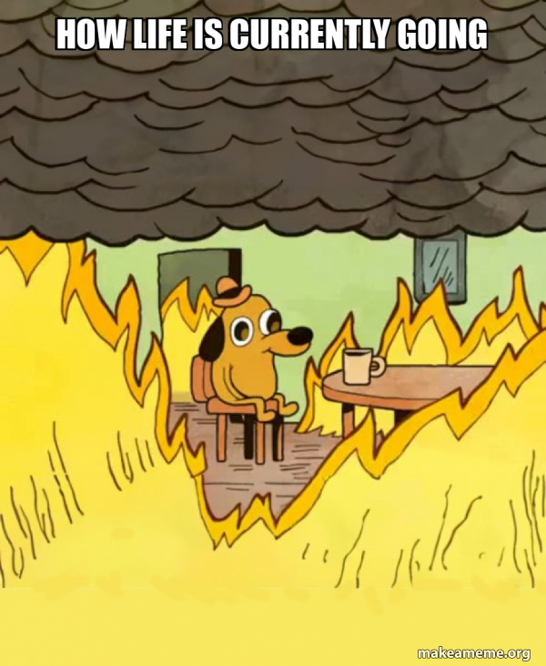 how life is currently going - This Is Fine Meme Generator