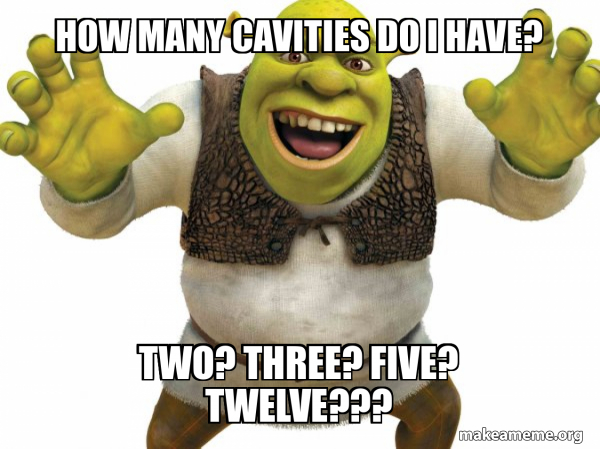 how many cavities do i have? two? three? five? TWELVE??? - Shrek Meme ...