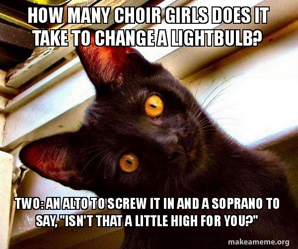 how many choir girls does it take to change a lightbulb? Two: an alto ...