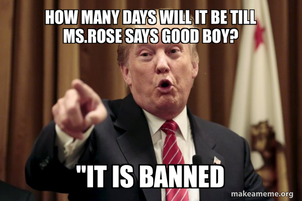 How many days will it be till Ms.Rose says GOOD BOY? "It is BANNED ...