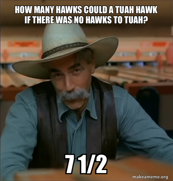 how many hawks could a tuah hawk if there was no hawks to tuah? 7 1/2 ...