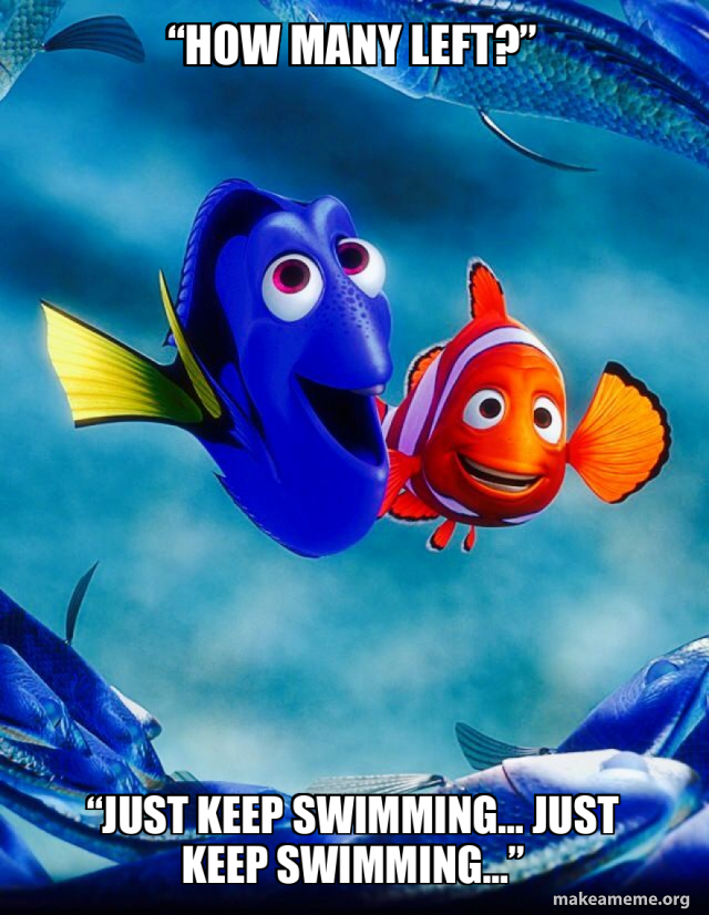 “How many left?” “Just keep swimming… just keep swimming…” Meme Generator