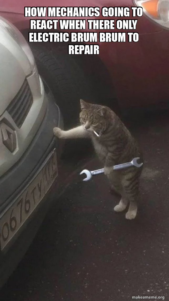 How mechanics going to react when there only electric brum brum to ...