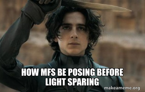 How mfs be posing before light sparing Meme Generator