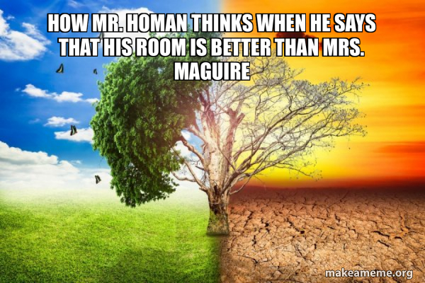 How Mr. Homan thinks when he says that his room is better than Mrs ...