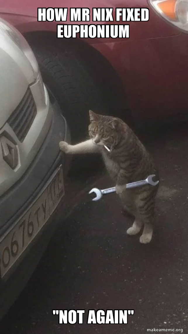 How Mr Nix fixed euphonium "not again" - Mechanic Cat Meme Generator