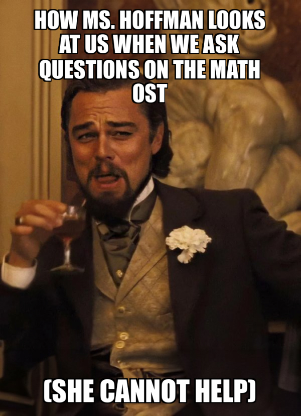 how Ms. Hoffman looks at us when we ask questions on the math OST (she ...