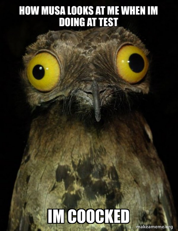 how musa looks at me when im doing at test im coocked - Weird Stuff I ...