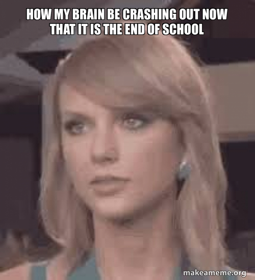 how my brain be crashing out now that it is the end of school Meme ...