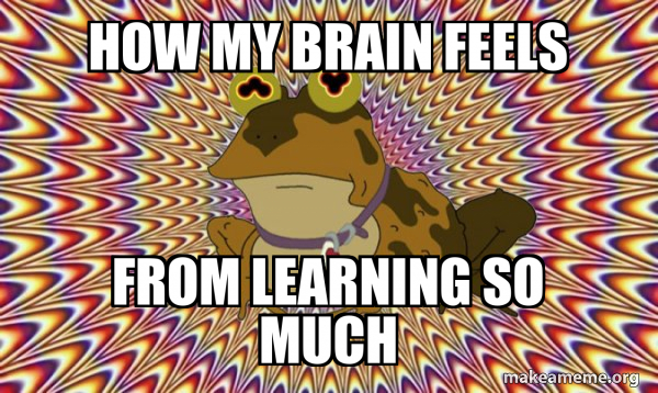 How my brain feels From learning so much - Hypnotoad Meme Generator