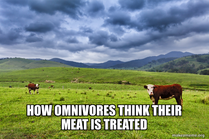 How omnivores think their meat is treated Meme Generator