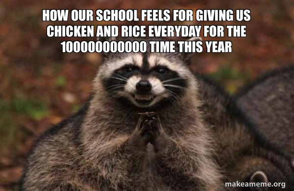 how our school feels for giving us chicken and rice everyday for the ...