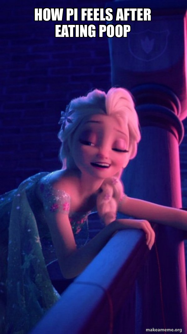 How Pi feels after eating poop - Drunk Elsa Meme Generator