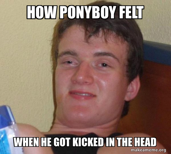 How ponyboy felt when he got kicked in the head - [10] guy Meme Generator
